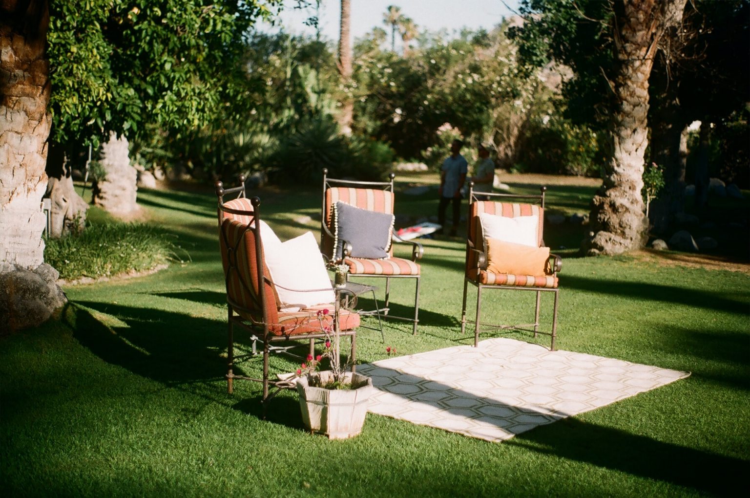 Large Outdoor Space Transforming into the Perfect Family Yard - Useful ...