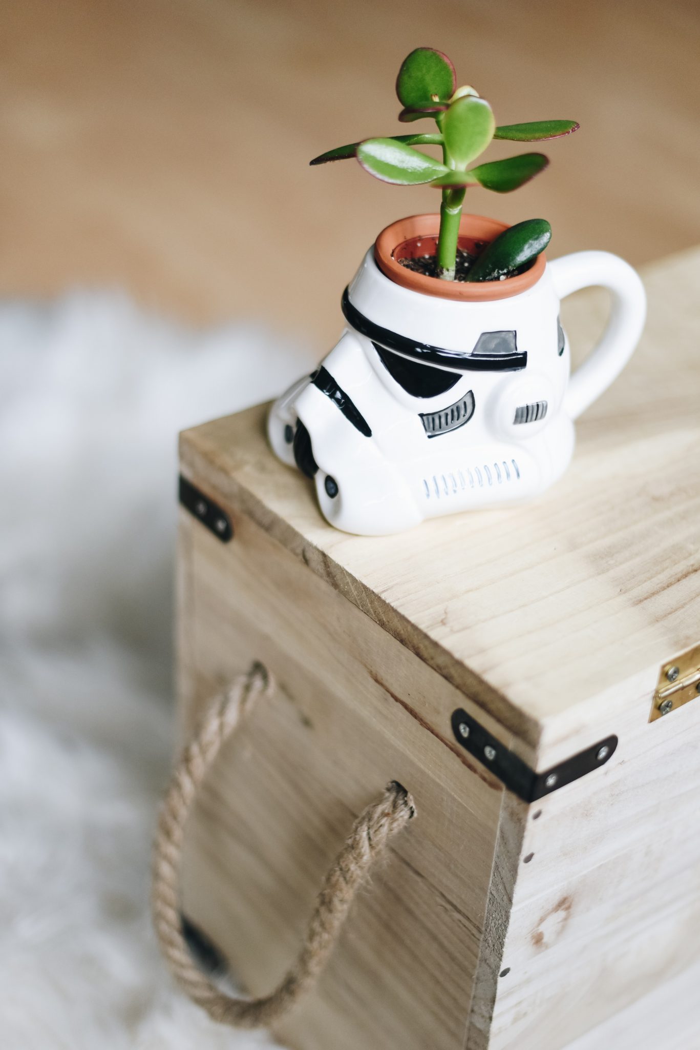 How To Add Elegant Touches With DIY Rope Crafts